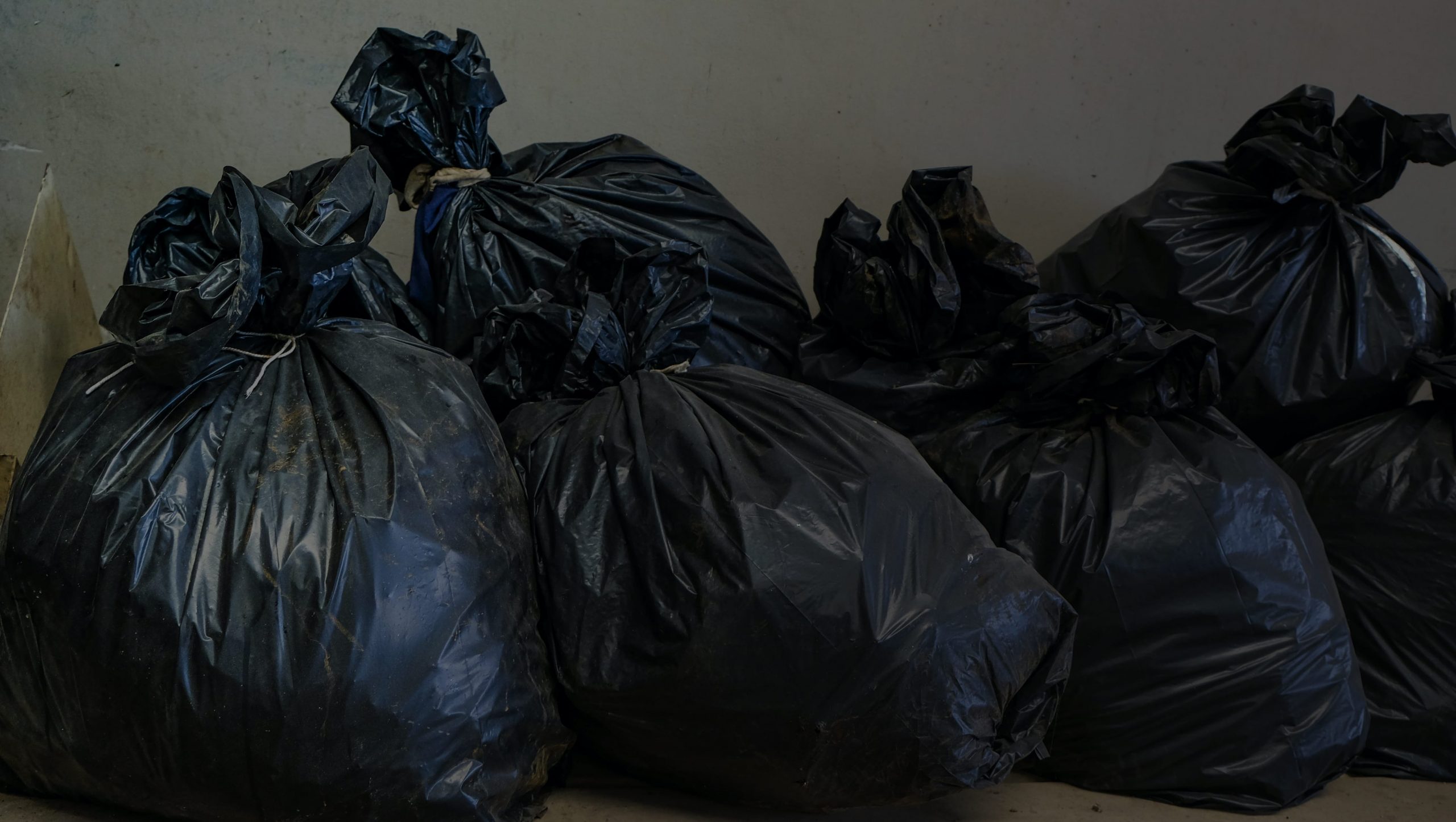 Trash Removal - Naples Junk Removal